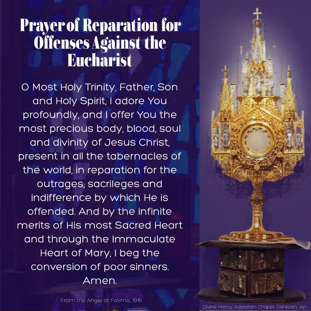 EVANGELUS by Diocesan